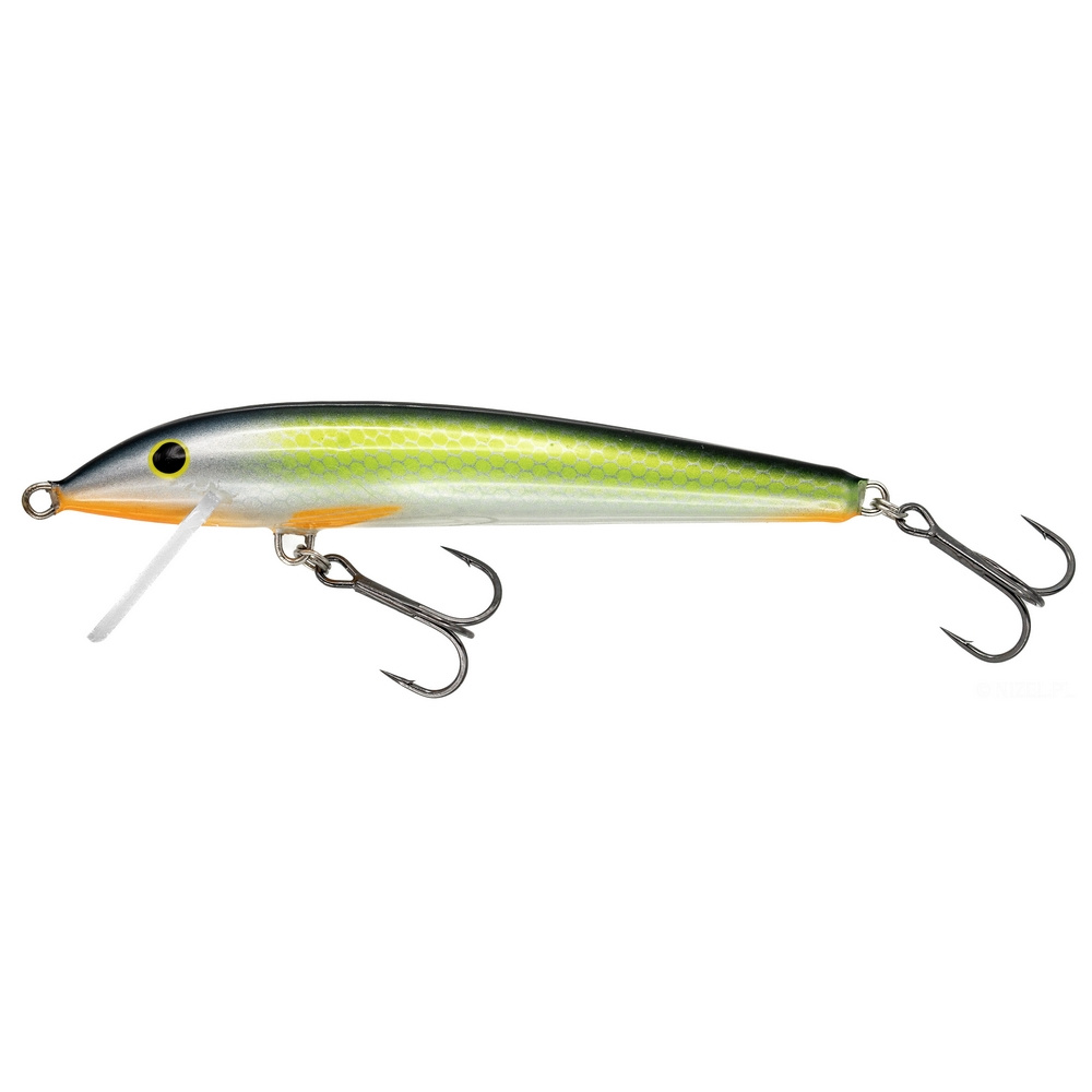 Wobler Gloog Nike 10cm 9g Floating RGF 9 g \ RGF \ Nike 100 P ...