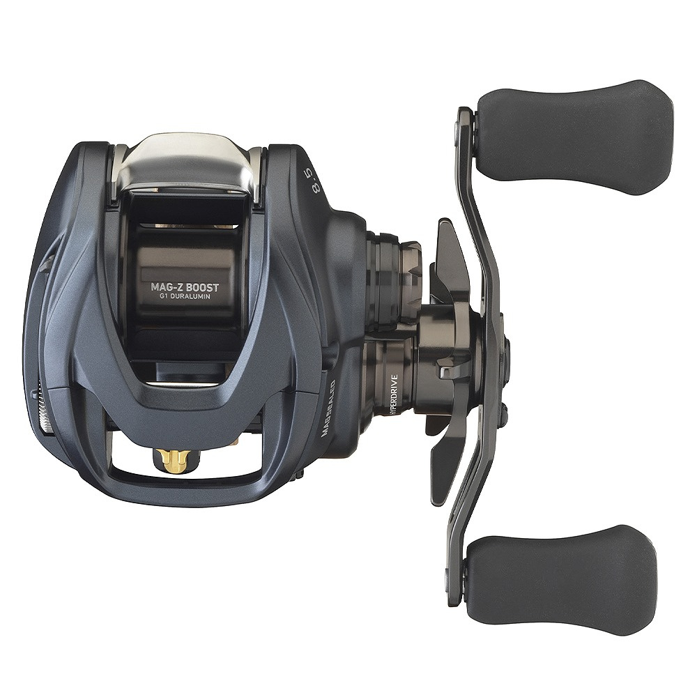 Multiplikator Daiwa Steez A II TW 1000L 10720-100 | Produkty ...